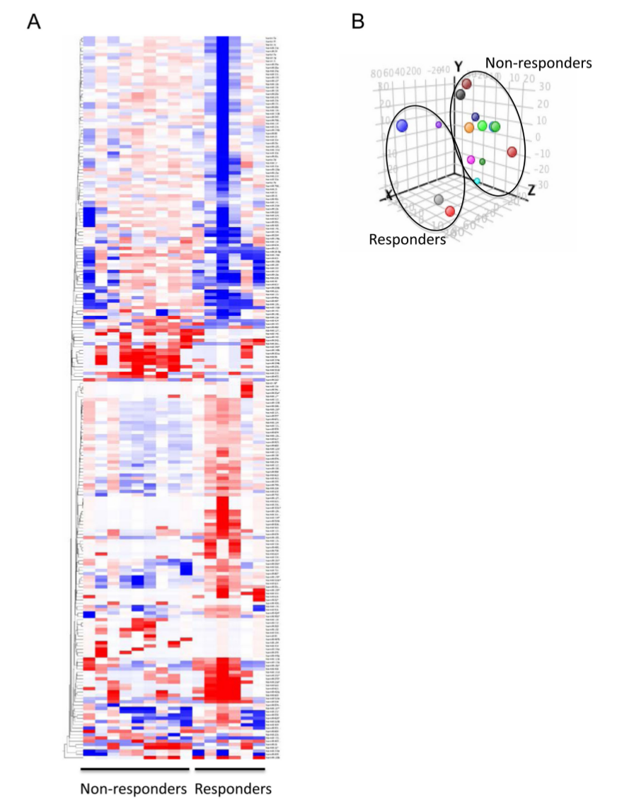 Genes & Cancer | Decreased expression of let-7c is associated with non ...