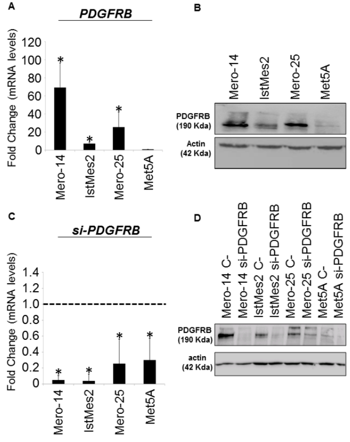 Genes & Cancer | Inhibition of the platelet-derived growth factor ...