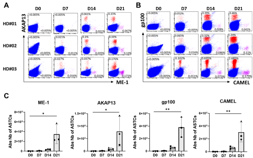 Genes & Cancer | Leveraging a powerful allogeneic dendritic cell line ...